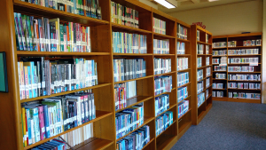 Bryan + College Station Public Library System – Engaging, enlightening ...